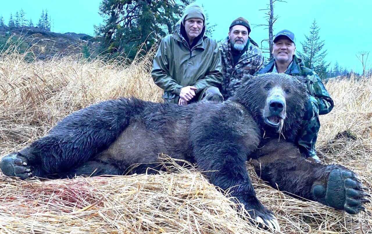 2025 Alaska Gov. Afognak Island Brown Bear Hunt Raffle | SCI Alaska